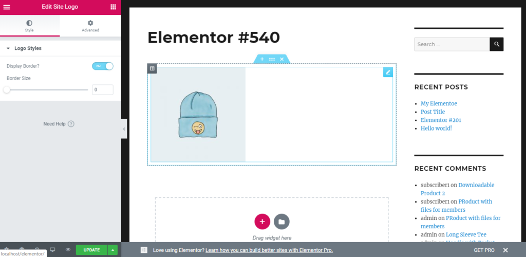 Using Site Logo Element with Elementor Page Builder - WP Expert Developer